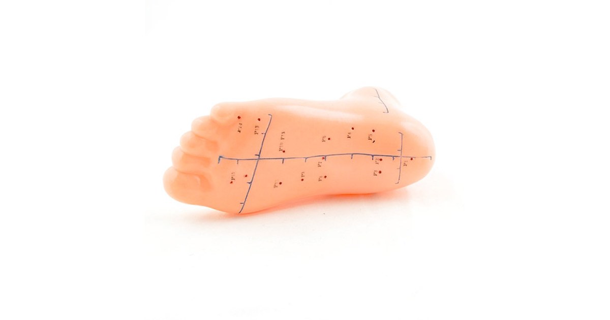 Foot Acupuncture Model | Δίγκας Γ. Ιατρικά