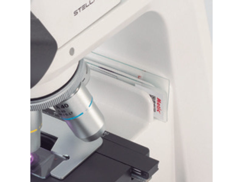 Educational microscope STELLAR 1-B (4X,10X,40X) MOTIC | Δίγκας Γ. Ιατρικά